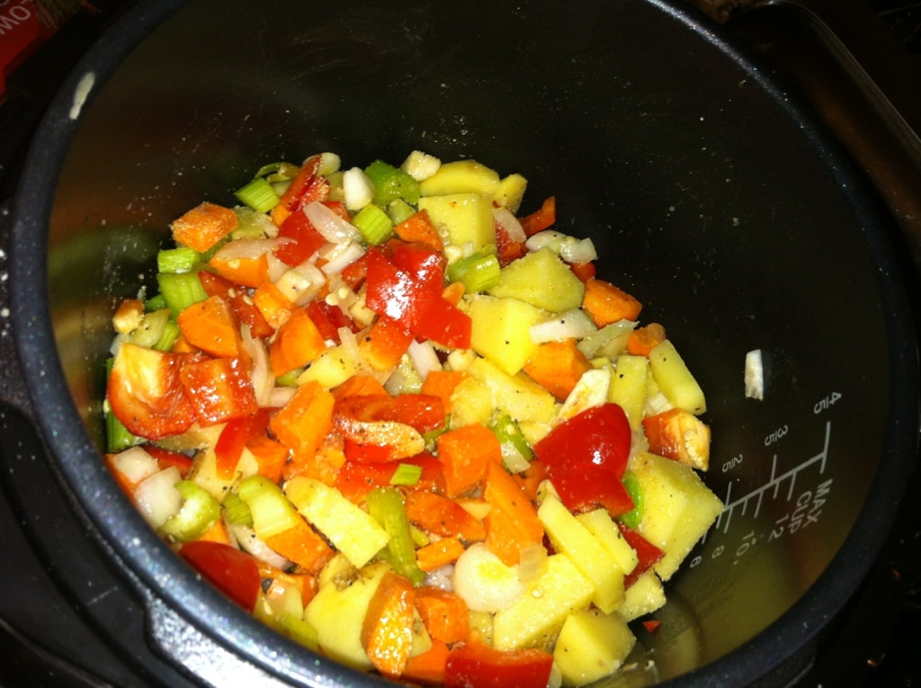 Pressure Cooker Chicken Stew: Easy Pressure Cooker Recipe