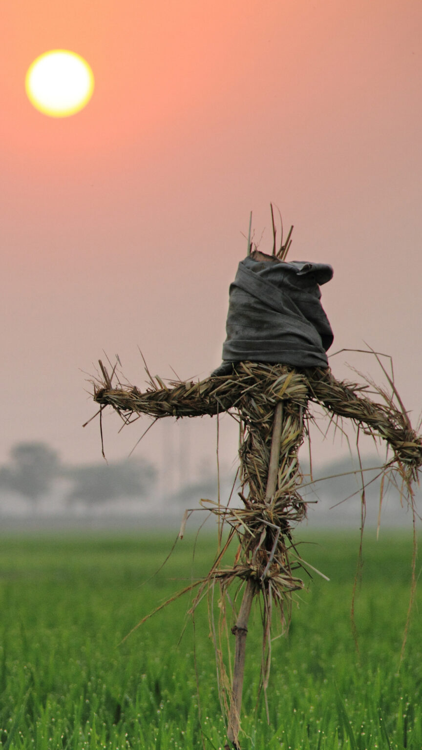 13 Best Horror Movies About Scarecrows