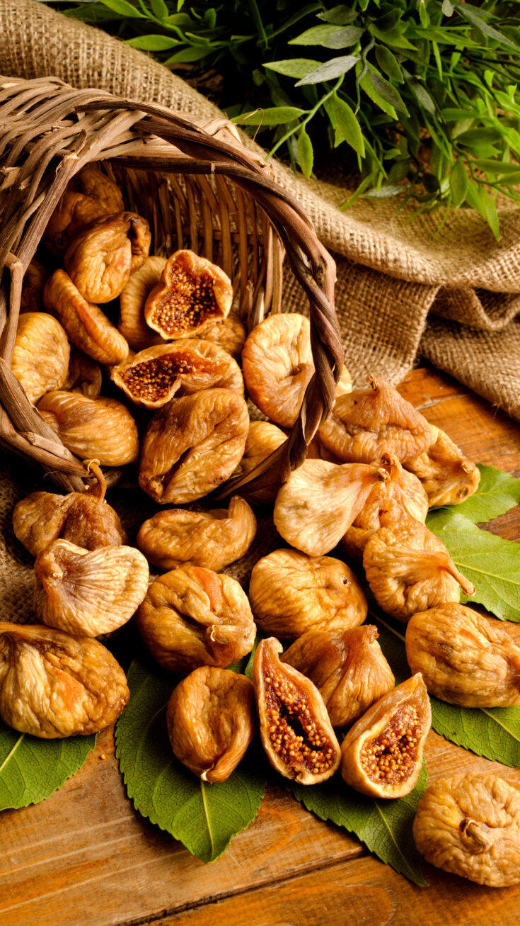 Interesting Facts About Fig Trees That You Never Heard Before