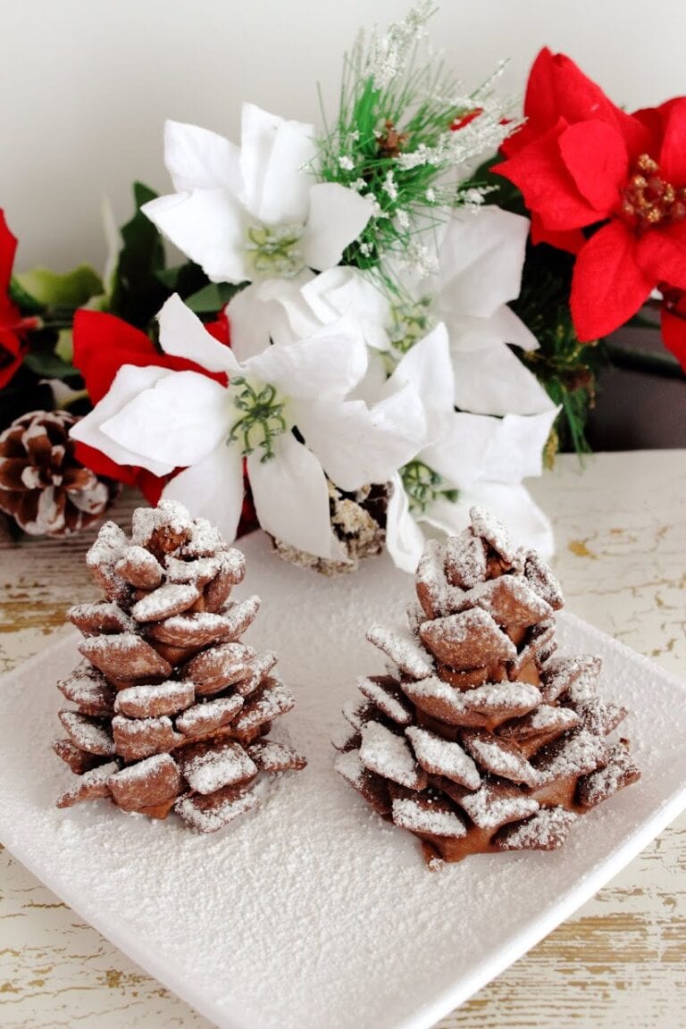 Chocolate Pine Cones with Peanut Butter | Lady And The Blog
