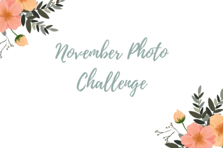 November Photo Challenge - Photo A Day Ideas Printable