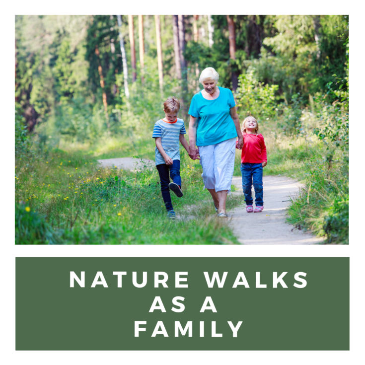 Nature Drawing For Kids - 10 Easy Tutorials To Get Them Started