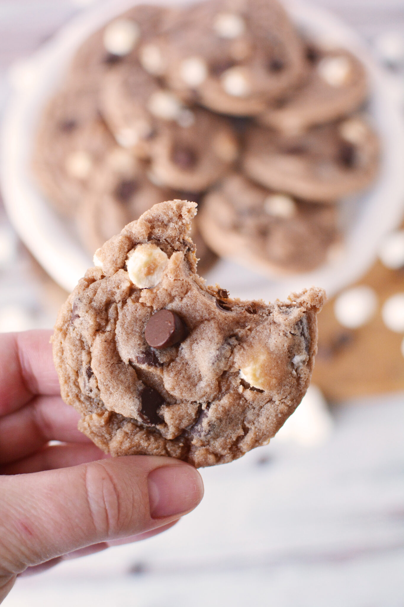 Chewy Chocolate Chip Marshmallow Cookies Recipe