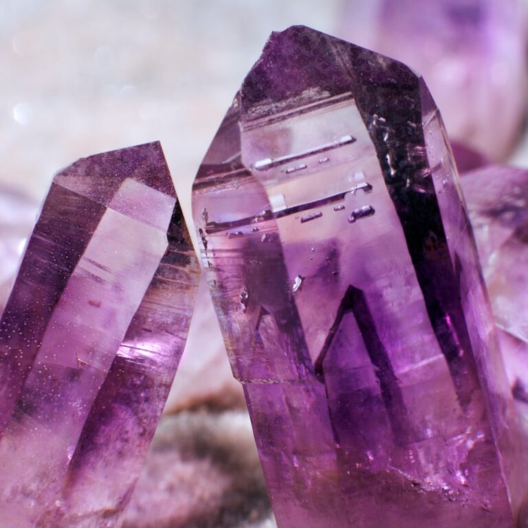 80+ Fun Facts About February