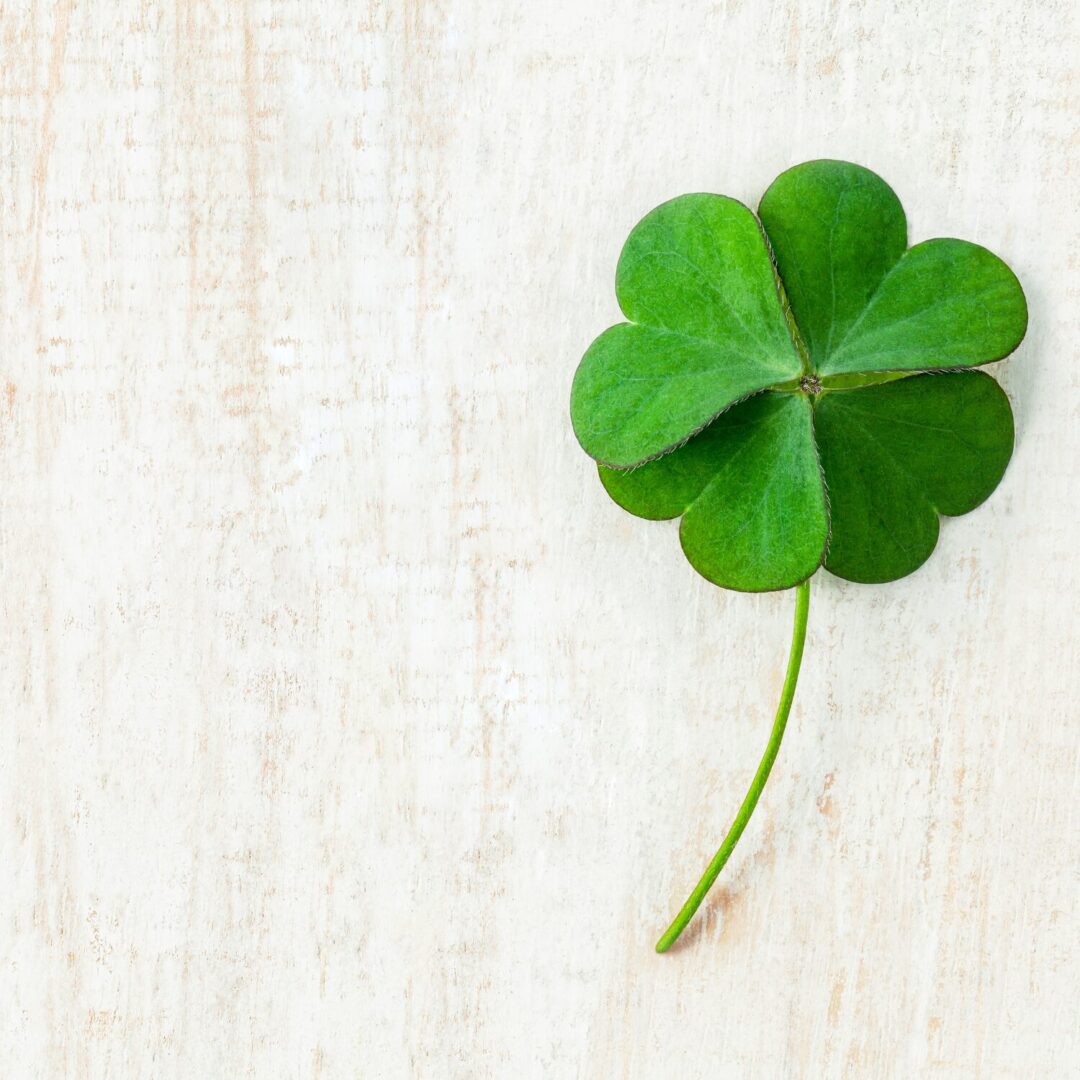 How To Spot Good Luck Signs From The Universe - 25 Lucky Charms