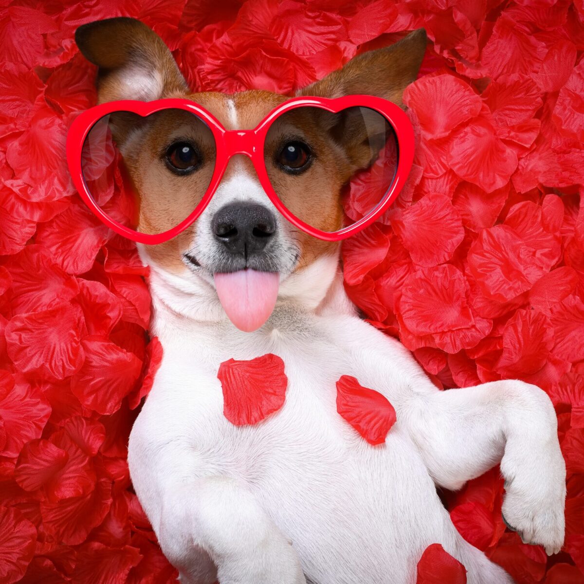 100 Things To Do In February - Fill Up Your Calendar