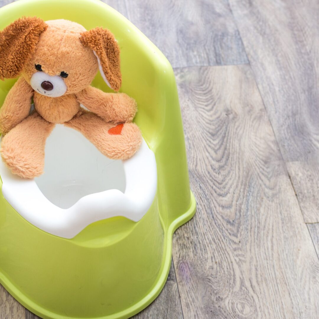 What Potty Training Rewards Work Best For Little Kids?